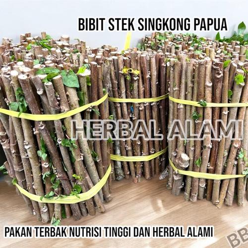 Jual Bibit Telo Papua Singkong Papua Nutrisi Untuk Hewan isi 15-20 ...