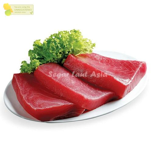 Jual Ikan Tuna Segar Ikan Tuna Fillet Steak Premium Import Fresh ...