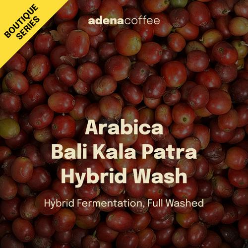 Jual Boutique Series - Green Bean Arabica Bali Kala Patra Hybrid Wash 1kg - Kota Tangerang ...