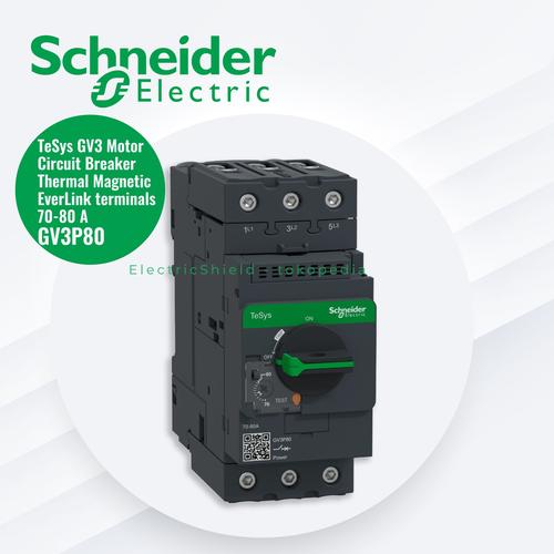 Jual GV3P80 70-80A - Motor circuit breaker thermal magnetic Schneider ...