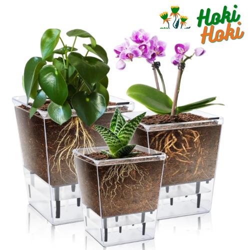 Jual POT TANAMAN BENING OTOMATIS / SELF WATERING / TRANSPARENT FLOWER ...