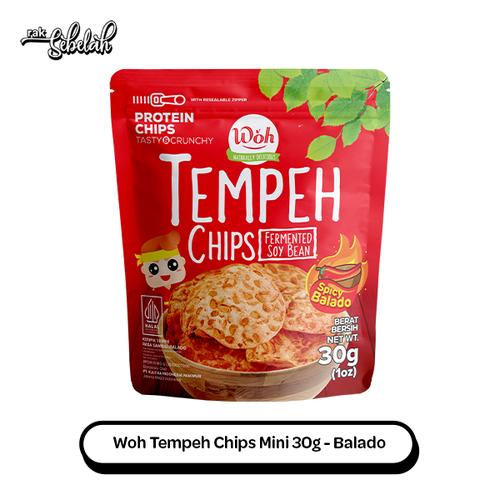 Promo Woh MINI Tempeh Chips Balado 30gr - Keripik Tempe Gluten Free ...