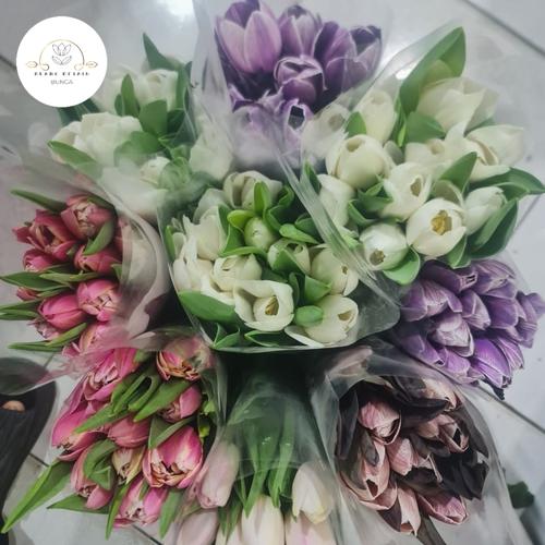 Jual ruang desain bunga |Tulip fresh|asli|pertangkai - Kuning - Jakarta ...