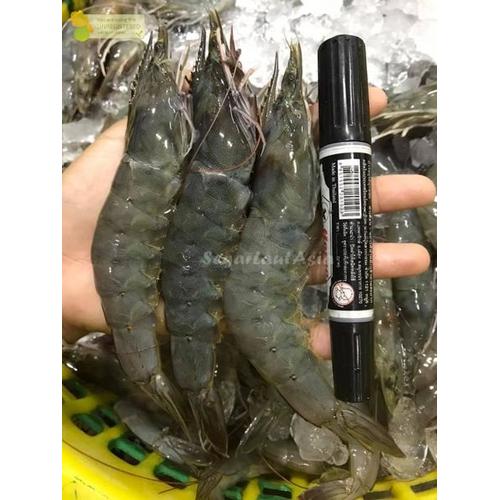 Jual Udang Vaname Segar Udang Vaname 30-35 Ekor Seafood Udang Segar 1Kg ...
