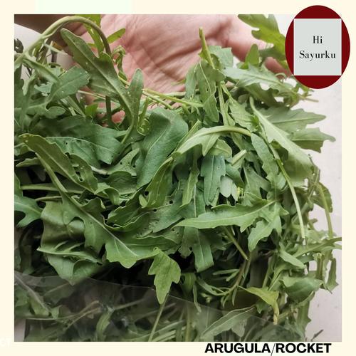 Jual ARUGULA ROCKET / ARUGULA / ARAGULA LETTUCE / SELADA ARUGULA - 1 KG ...