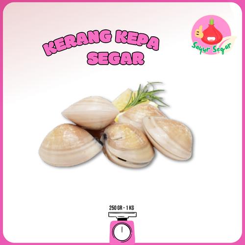 Jual Kerang Kepa / Tahu - Fresh - 500gr - Kota Tangerang - BawangBagus ...