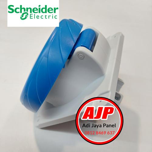 Jual soket panel mounting schneider 32a 1p 3pin ip67 - Jakarta Pusat ...