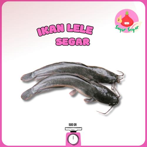 Jual Sayur Segar - Ikan Lele Super Segar / CatFish 500gr - Kota ...
