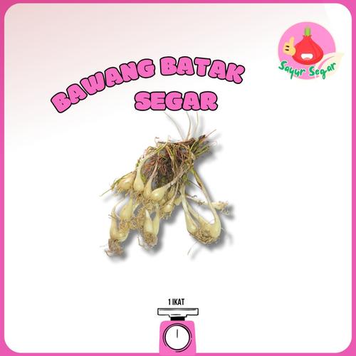 Jual Bawang batak / lengkio 1 Ikat - Bawang Bagus - Kota Tangerang ...