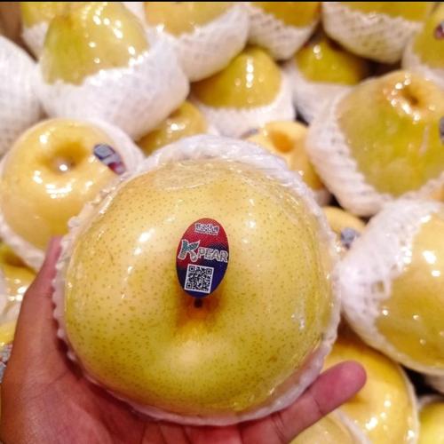 Jual Pear Golden Korea | Pir Korea 1 Kg - Jakarta Barat - PartnerBuah ...
