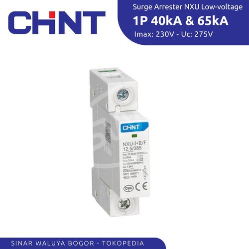 Jual Surge Arrester CHINT 1P 40kA & 65kA Imax 230V - 40kA - Jakarta ...
