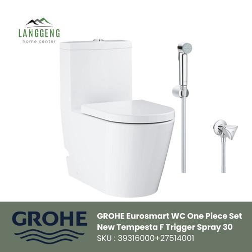 Jual GROHE Kloset One Piece 39316000 + Jet Shower Spray Tempesta-F ...