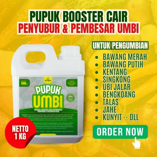 Jual Pupuk Pembesar Umbi Bawang Merah Penyubur Kentang Singkong Ubi ...