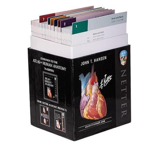 Jual Flash Cards - Kartu Edukasi Kedokteran Netter'S Anatomy Netter ...
