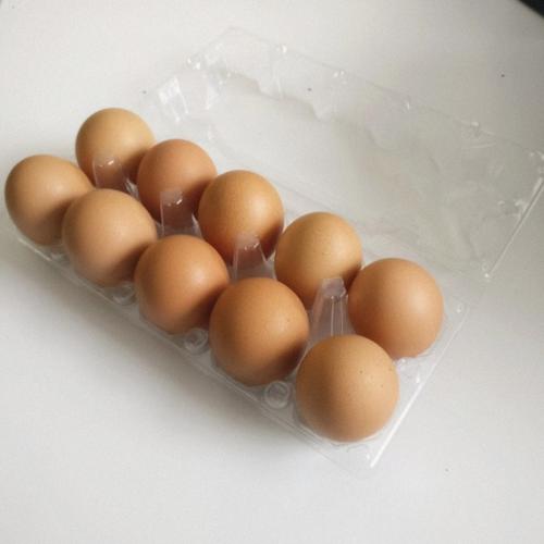 Jual Mika Telur - Tray Telur - Egg Tray isi 10 butir Sistem Pengunci ...