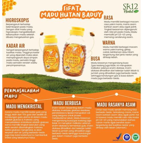 Jual MADU Hutan Baduy SR12 Murni - Baduy 140g - Kota Malang - SR12 LP ...