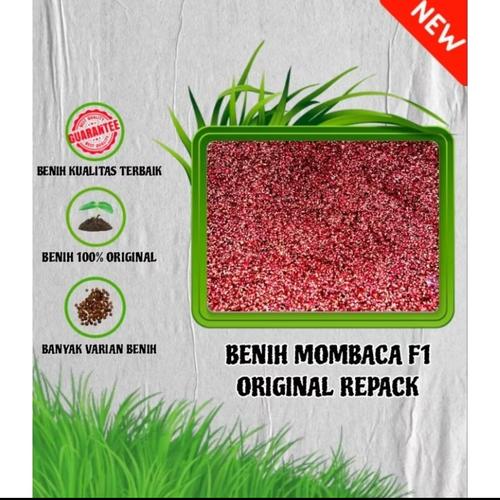 Jual Benih Rumput mombaca super F1 - bibit pakan ternak 5000 biji ...