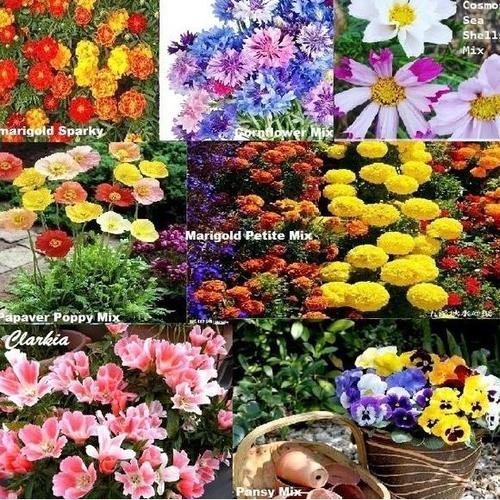 Jual PAKET HEMAT BUNGA COSMOS, POPPY DAN MARIGOLD ISI 7 JENIS TANAMAN ...