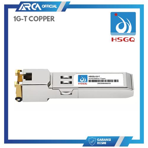 Jual HSGQ-1G-T Copper SFP 1G/10G Ethernet Electrical Port Module For ...