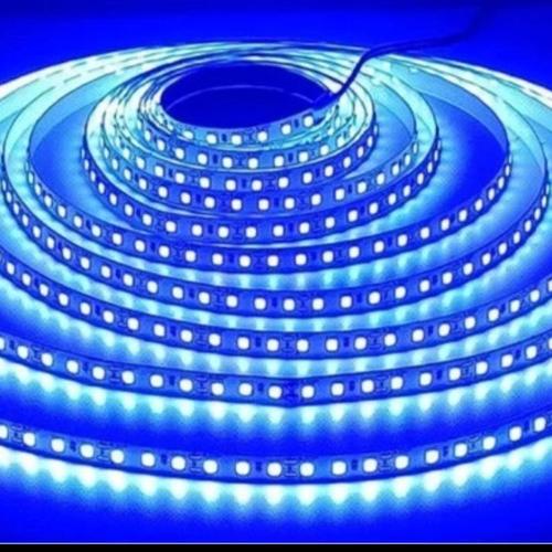 Jual Lampu Led Strip Tempel Plafon 2835 3528 IP33 12V Indoor - Biru ...