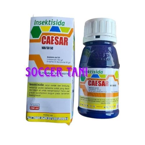Jual insektisida CAESAR 250ml obat Pengendali ulat bawang merah - Kab ...