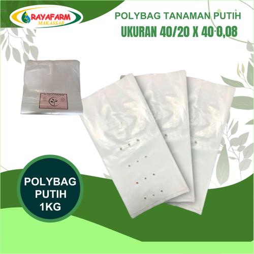 Jual Kantong Tanaman Polybag Putih Ukuran 40x40 1kg - Kota Makassar ...
