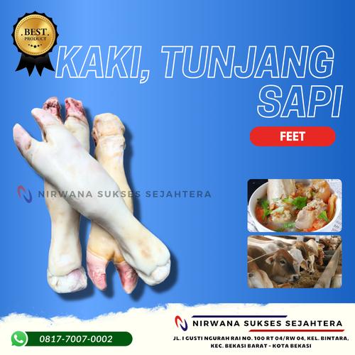 Jual KAKI, TUNJANG SAPI, SUMSUM TULANG SAPI, BRAKOTAN KAKI SAPI / BULLY ...