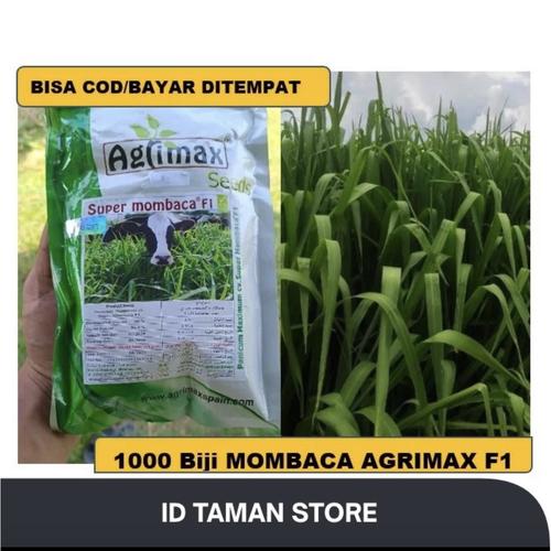 Jual Benih super mombaca F1 200biji bagrimax spanyol Bibit Rumput Pakan ...