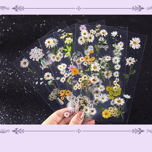 Promo Sticker tanaman transparan pet dekorasi bunga daisy clover ...