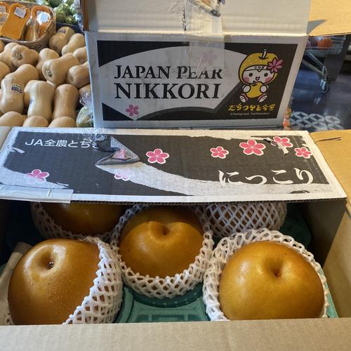 Jual Pear nikkori jepang manis banyak air| Buah pear jepang nikkori ...