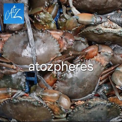 Jual Daging kepiting jantan betina telur super jumbo segar pilihan ...