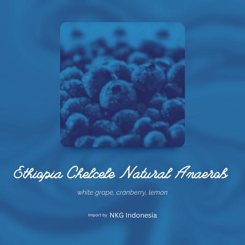 Promo Ethiopia Chelchele Nat - Specialty Coffee - Sans.Sat - Single ...