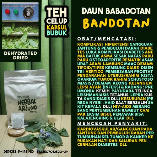 Jual Dehydrated Dried Teh & Kapsul Daun Bandotan Babadotan Obat ...