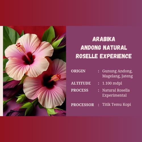Jual Kopi Arabika Andong Natural Rosella Experience by Titik Temu Kopi ...