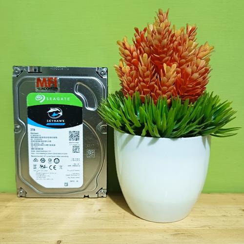Jual Hardisk/HDD Seagate SkyHawk 3 TB 5900 RPM 3,5" buat CCTV dan PC ...