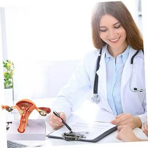 Jual Alat Peraga Anatomi Model Patologis Uterus Ovarium Manekin Rahim ...