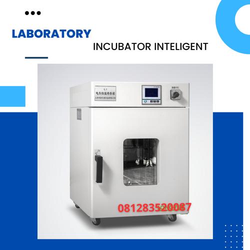 Jual LABORATORY INCUBATOR INTELIGENT / Inkubator Laboratorium 50L/TDK PAKING KAYU - Kab. Bogor ...