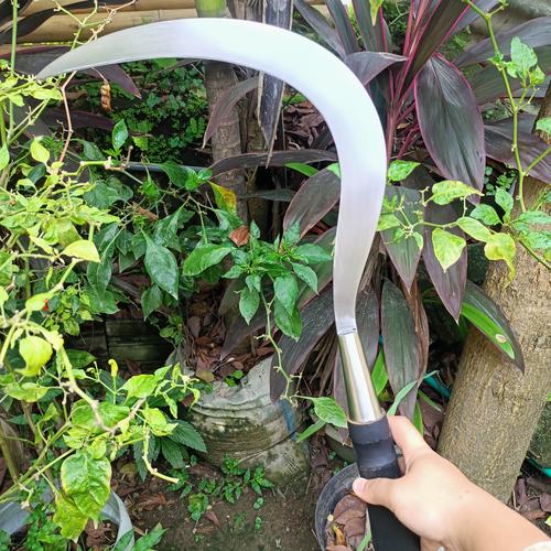 Jual clurit model takabuh uk 60cm spek songkelan - Kab. Bangkalan ...