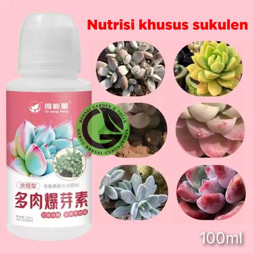 Promo succulent plant liquid, pupuk kaktus dan sukulen elemen penggemuk ...