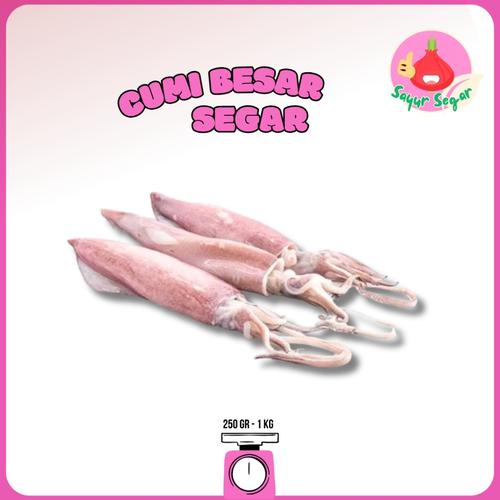 Jual Cumi Besar Segar / Cumi Segar Besar - Kota Tangerang - BawangBagus ...