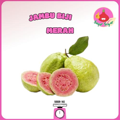 Jual JAMBU BIJI MERAH/JAMBU BIJI/JAMBU BIJI MERAH SEGAR 500Gram - 1kg ...