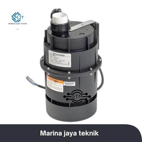 Jual Blower Air Spa & Jacuzzi Astral AB Series 1200W Aerator - Jakarta ...