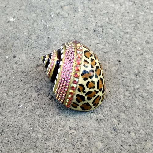 Jual Cangkang Kerang Kulit Kerang Koleksi 014 Kerang Lukis Painted ...