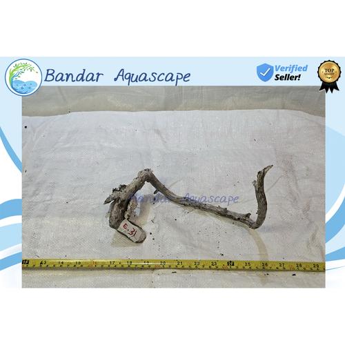 Jual E31 Kayu Aquascape Kayu Hias Aquarium - Jakarta Pusat - Bandar ...
