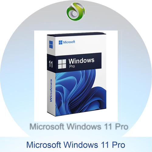 Jual Microsoft Windows 11 Pro Edition (1-PC Lifetime) - Jakarta Timur ...
