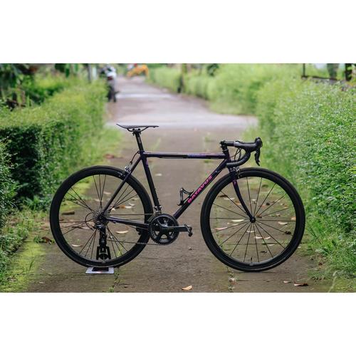 Jual Batavus Competition Carbon Race Vintage Road Bike Sepeda Balap ...
