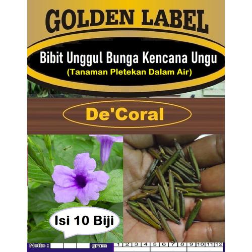 Jual Bibit Unggul Bunga Kencana Ungu Tanaman Pletekan Dalam Air | Biji ...