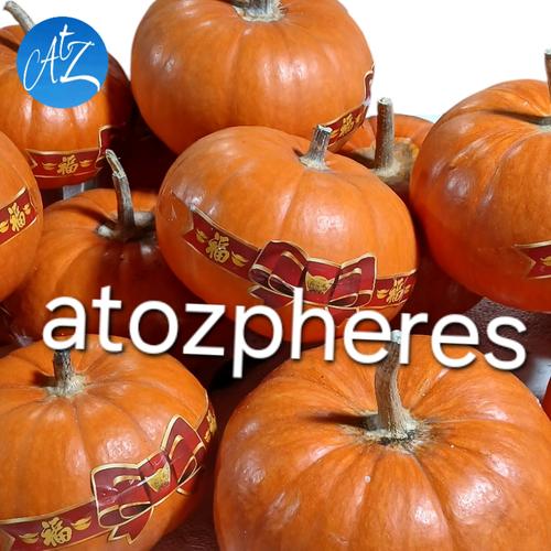 Jual Buah labu mas emas sembahyang imlek sincia segar pilihan fresh ...