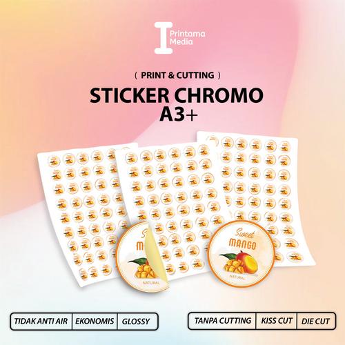Jual Cetak Stiker Chromo A3+ Print & Cut Label Custom - Tanpa Laminasi ...
