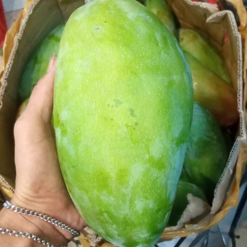 Jual mangga kiojay | mangga bangkok - 1kg - Kiojay - 1 kg - Jakarta ...